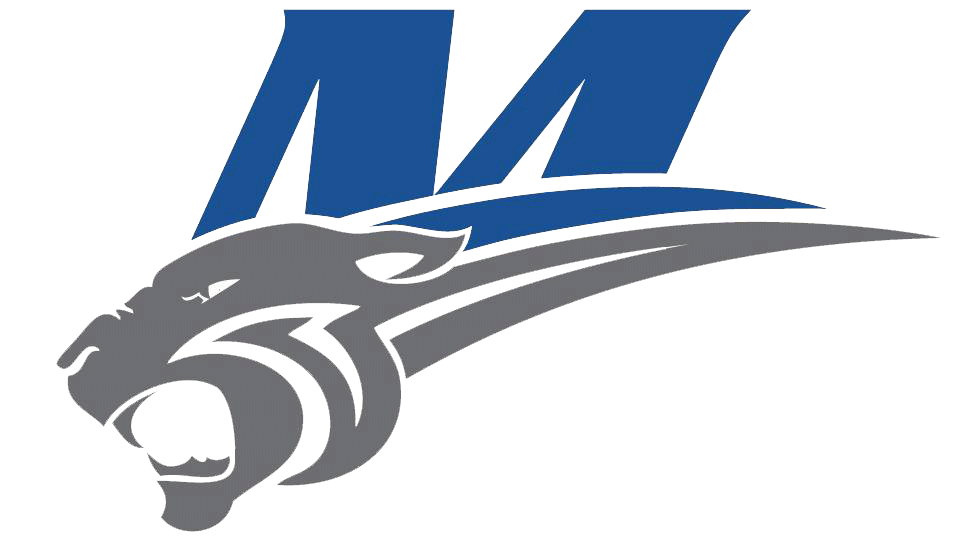 Mastery Charter Schools - City Year