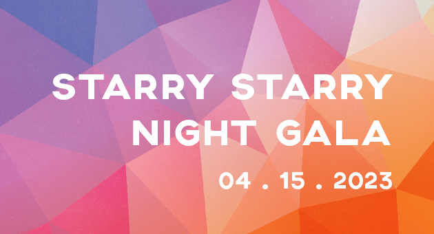 Starry Starry Night 2023 - City Year