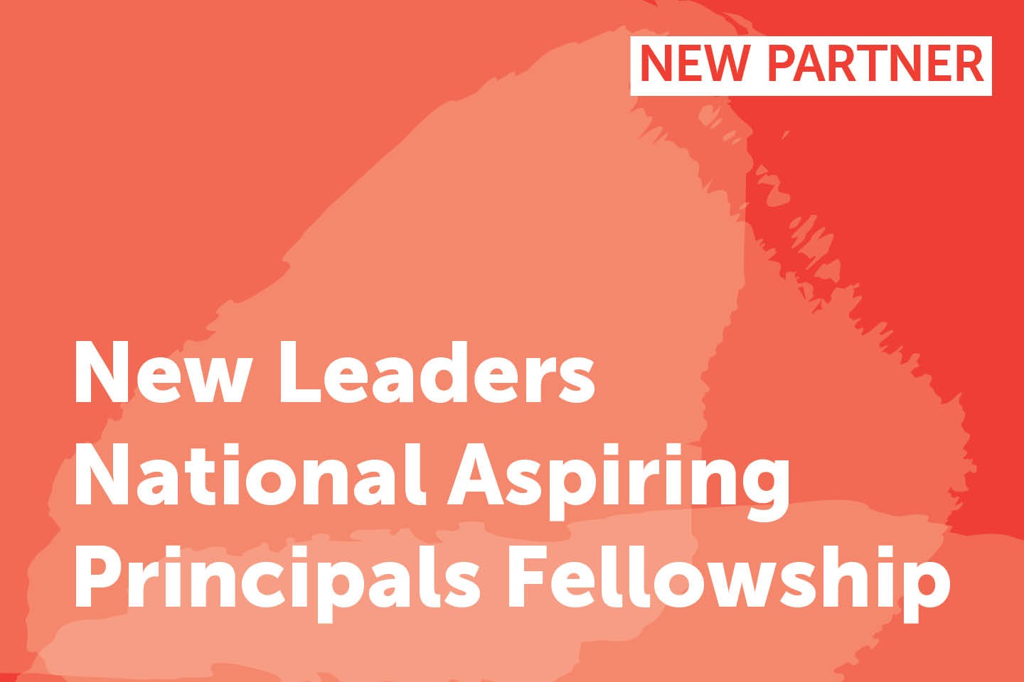 Career Partnerships - City Year